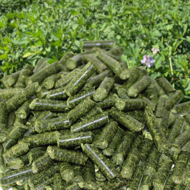 Luzernepellets – Das hochwertige Futtermittel für Ihre Tiere